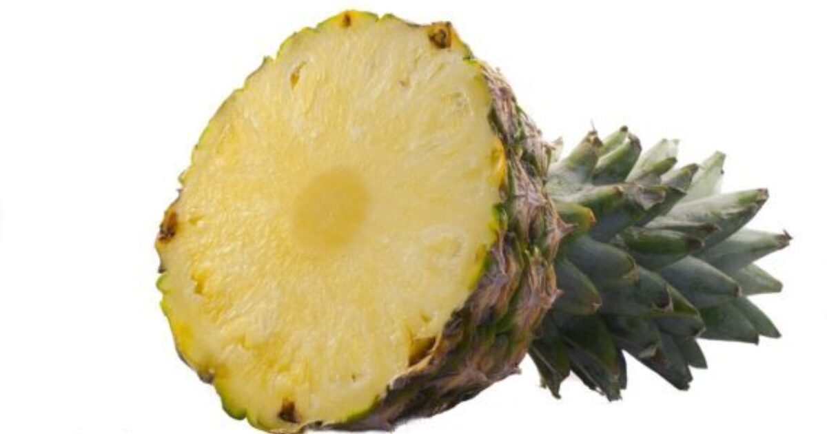 L'Ananas e le sue caratteristiche - Mondo Internazionale