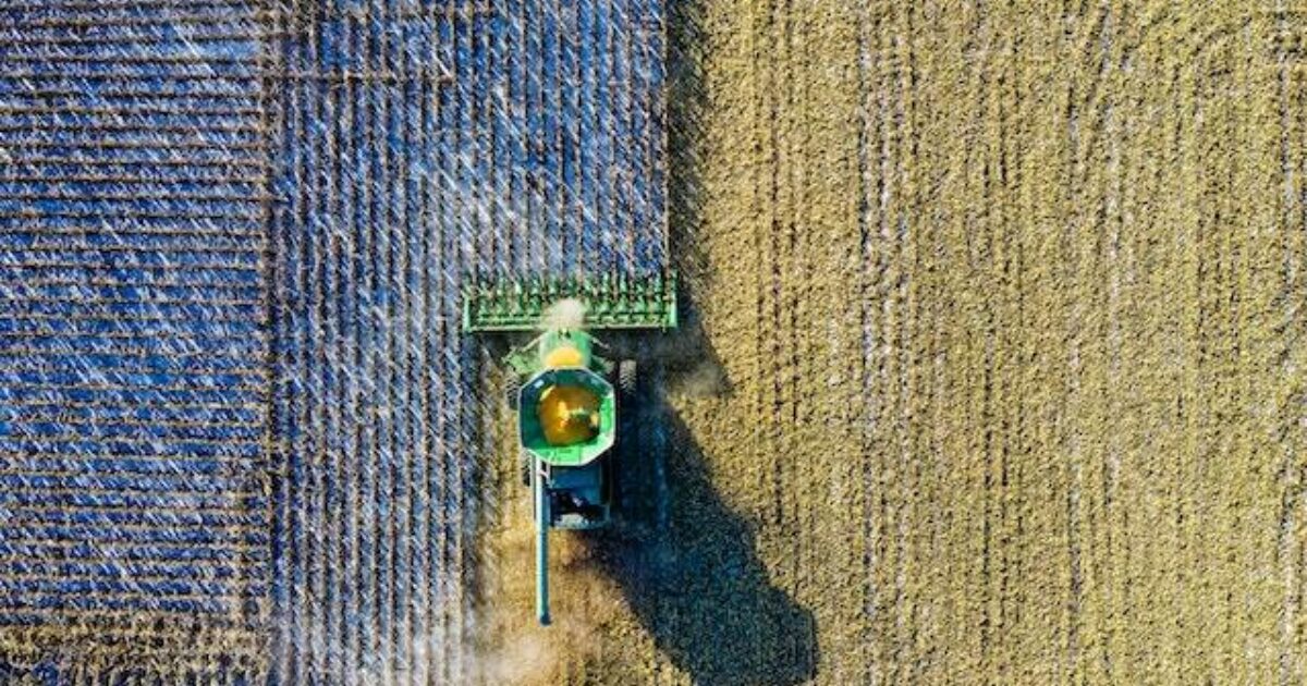 Land Grabbing: una breve introduzione - Mondo Internazionale